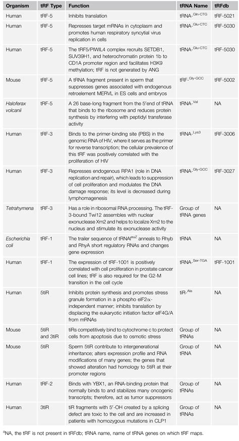 如何研究tRFs不妨先看这篇Cell Research文章 Ribobio