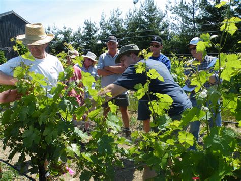 How To Calibrate An Airblast Sprayer Operator Sprayers 101