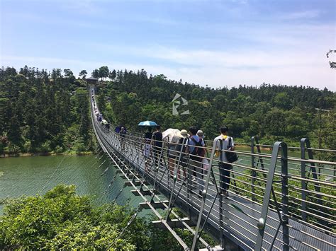 银杏湖景区乐园第10页大山谷图库