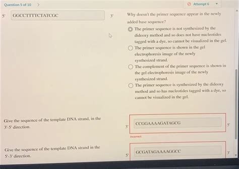 Solved A DNA Fragment Was Sequenced Using Dideoxy Chegg
