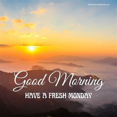 60 Best Good Morning Monday Images Beautiful Monday Morning Happy