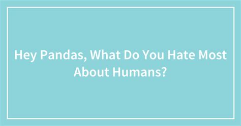 hey pandas what do you hate most about humans closed bored panda