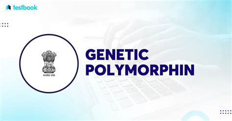 Genetic Polymorphism Definition Types And Examples For Upsc