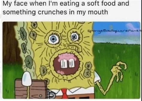 15 Spongebob Memes Were All Ready For