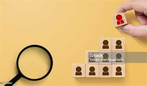 인적 자원 및 인재 관리 및 채용 비즈니스 개념 손은 상단 계단에 나무 큐브 블록을 퍼 팅 및 노란색 배경에 돋보기 공연에 대한 스톡 사진 및 기타 이미지 Istock