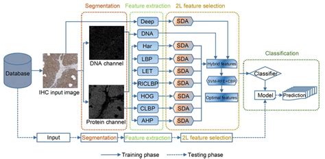 Schematic Workflow Of The Developed Pscl Hdeep Download Scientific Diagram