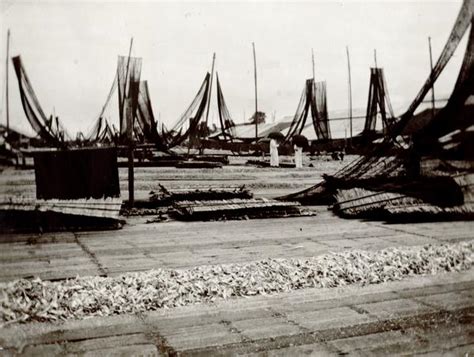 Sejarah Bagan Api Api Ke Bagansiapiapi Ke Dunia Luar Riaumagz Sejarah