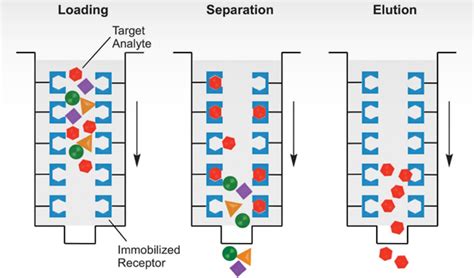 Affinity Chromatography Introduction Theory Types Instrumentation