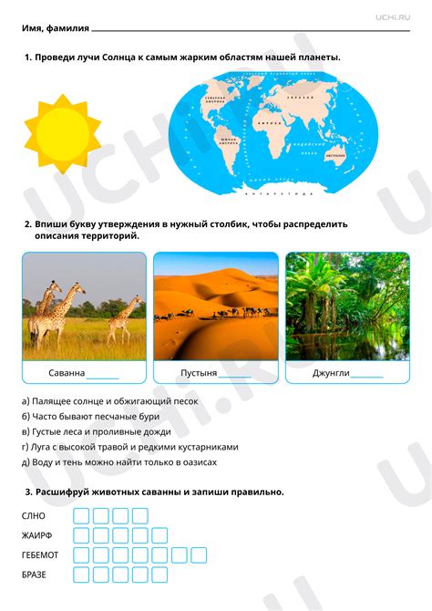 📒 Рабочий лист №4 по теме “Мир животных Где живут слоны Повышенный уровень” для 1 класса Учи ру