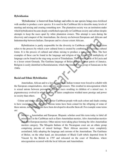 Hybridization And Creolization Pdf Mulatto Caribbean