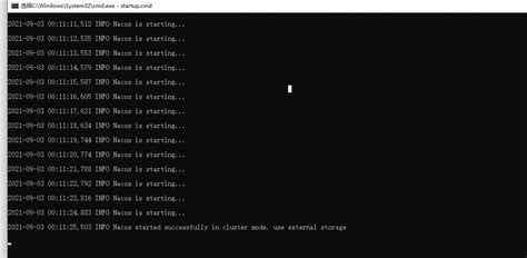 Request Nacos Server Failed And Nacos Cluster Is Running With 1x Mode