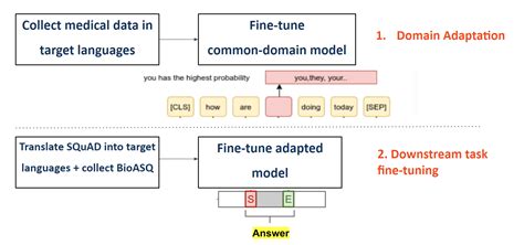 Multilingual Question Answering In Medicine Based On Xlm Roberta Ontotext