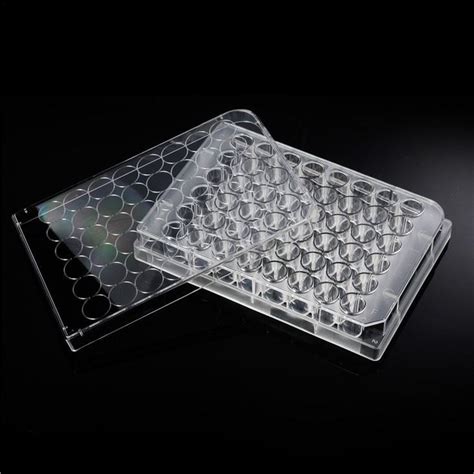 Placas De Cultivo Celular De 48 Pocillos Placas De Laboratorio