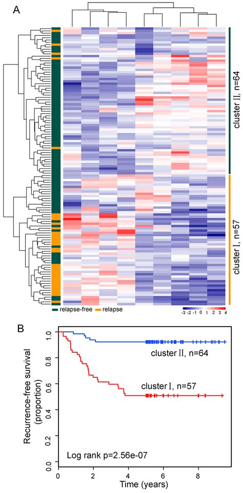 The Heatmap And Survival Analysis Of Hierarchical Clustering Based On
