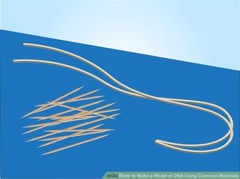 3 Ways To Make A Model Of DNA Using Common Materials WikiHow Making