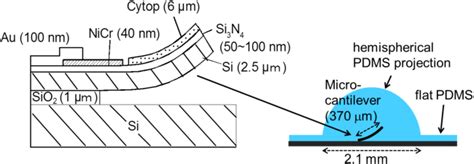 Figure 10 From Texture Measurement And Identification Of Object Surface