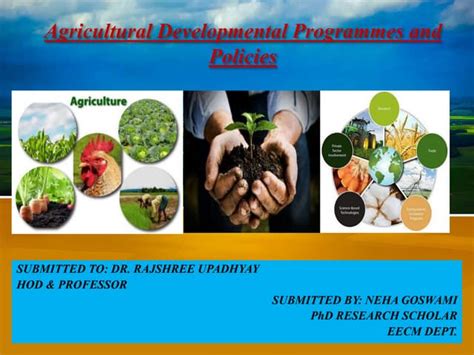 Agricultural Developmental Programmes And Policies Pptx