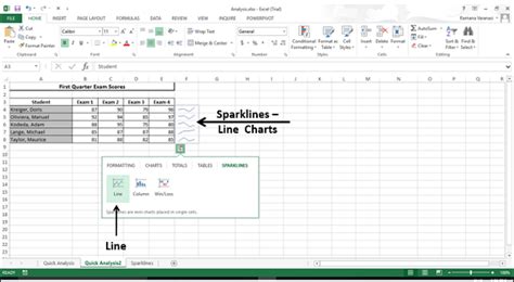 Excel Charts Sparklines