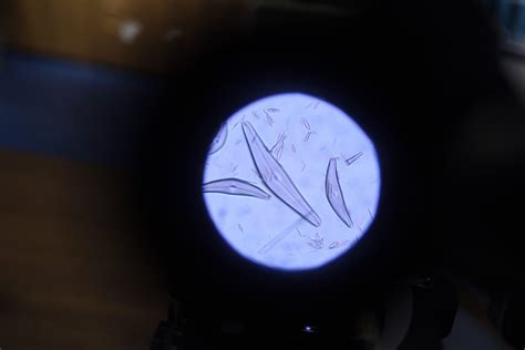 What Is Thermodynamic ‘negative Entropy Energy Philosophy