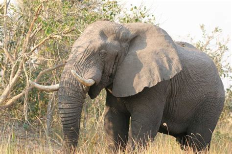 Index Types And Storage In Postgresql Shiv Iyer