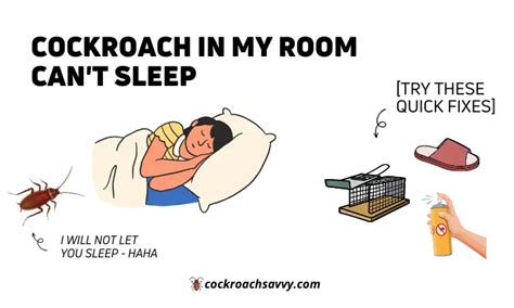 Cockroach In My Room Cant Sleep Try These Quick Fixes
