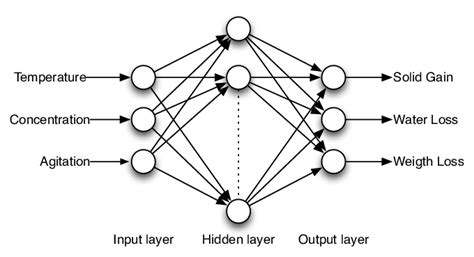 multilayer feedforward neural network architecture with one hidden