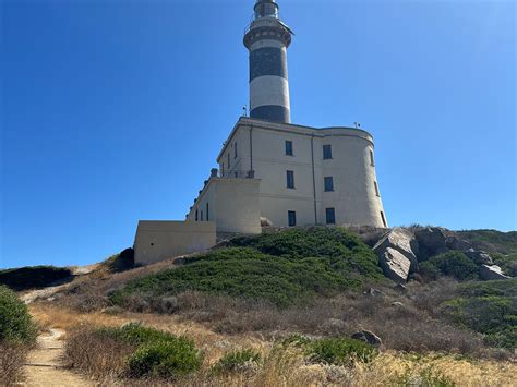 Nemo Sub 2026 All You Must Know Before You Go W Reviews