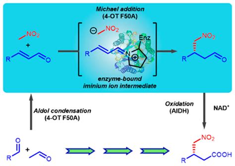 Nitromethane Conjugate Acid
