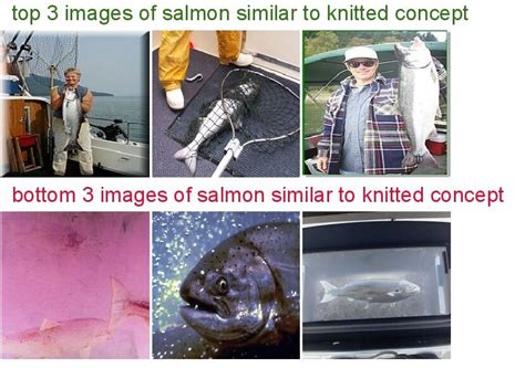 Tcav Relative Concept Importance Testing With Linear Concept