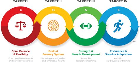 What Is Model Training At Christie Llamas Blog