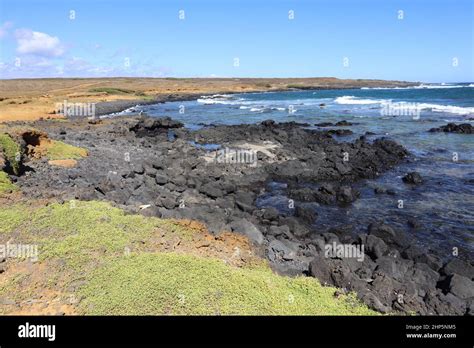 Landscape View Of Waves Crashing On Black Volcanic Rocks At Papakoleaon