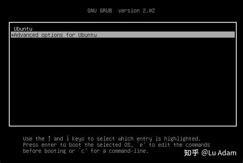 Ubuntu18 04 5快速重置用户登录密码 知乎