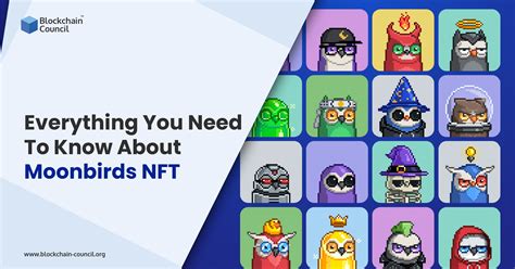 Everything You Need To Know About Moonbirds Nft Damian Kassab