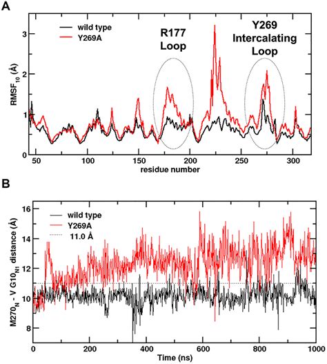Difference In Microsecond Time Scale Dynamics For The Wild Type And Download Scientific Diagram