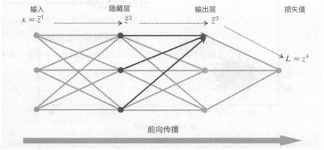 Pytorch深度学习入门 深度学习基础 26 反向传播pytorch神经网络反向传播 Csdn博客