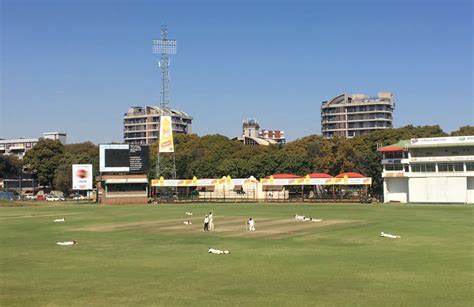 Bee Invasion Interrupts Black Caps Au