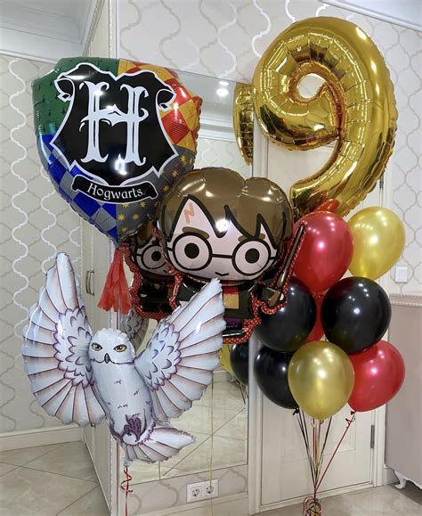 Набор шаров Гарри Потер с Хогвартса Shariki Agata