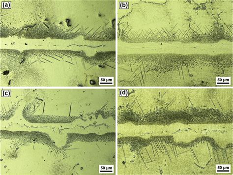 Optical Micrographs Of The Joint Brazed At 1150 °c For A 30 Min B