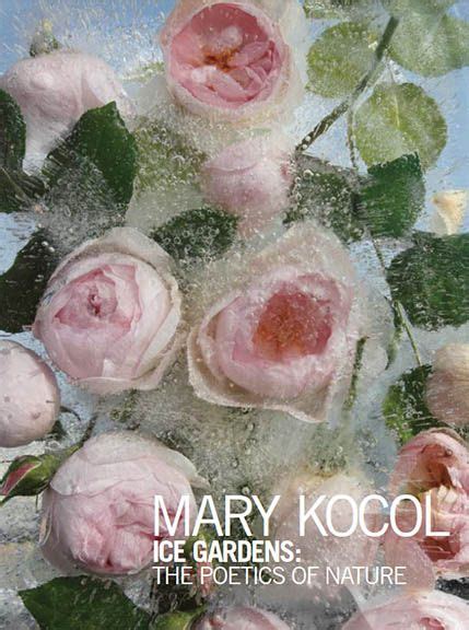 Mary Kocol Ice Garden Lenscratch Artofit