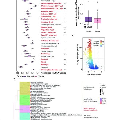 Landscape Of The Tumor Immune Microenvironment In Prostate Cancer A Download Scientific