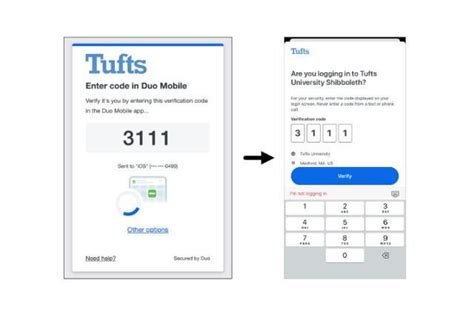 Duo Risk Based Authentication Access Tufts