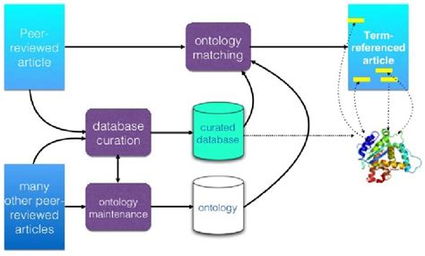 entity based integration download scientific diagram