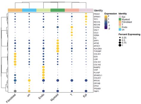 Scrna分析 和sci学 定制化聚类点图（dotplot ），含二行代码出图方式 知乎