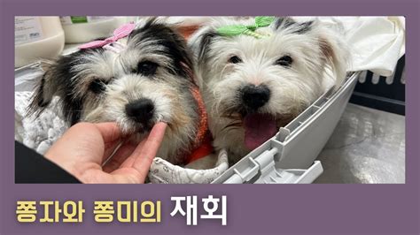 엄마와 딸의 재회 Youtube