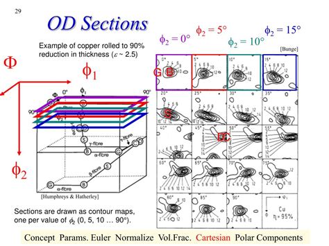 Ppt Orientation Distribution Definition Discrete Forms Examples Powerpoint Presentation
