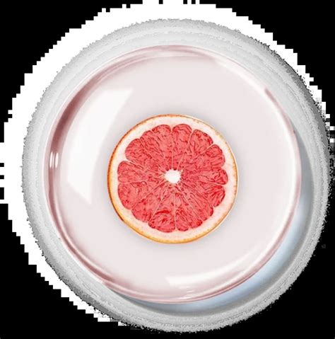 医美美妆护肤精华化妆品成分分子链细胞结构酵母植物水珠png素材 16 花瓣网