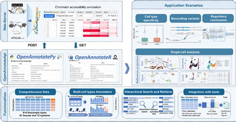 Figure 1 From Openannotateapi Python And R Packages To Efficiently