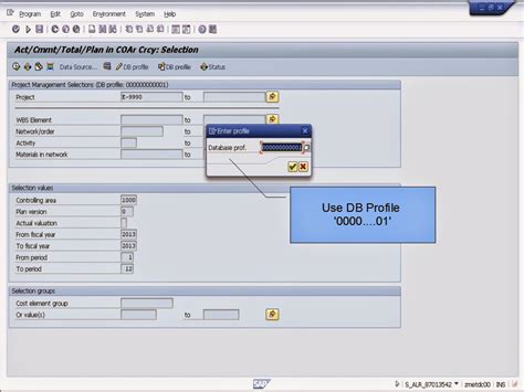 青蛙SAP分享 Froggy s SAP sharing SAP Project System Project Cost Element Reports