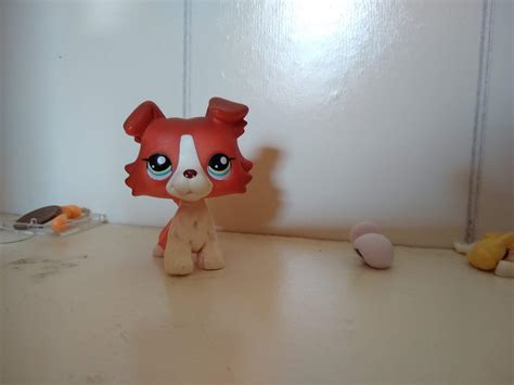 Got A New Lps Today And I Really Love Her Lps Amino