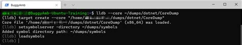 Open And Analyze System Generated Core Dump Files Aspnet Core